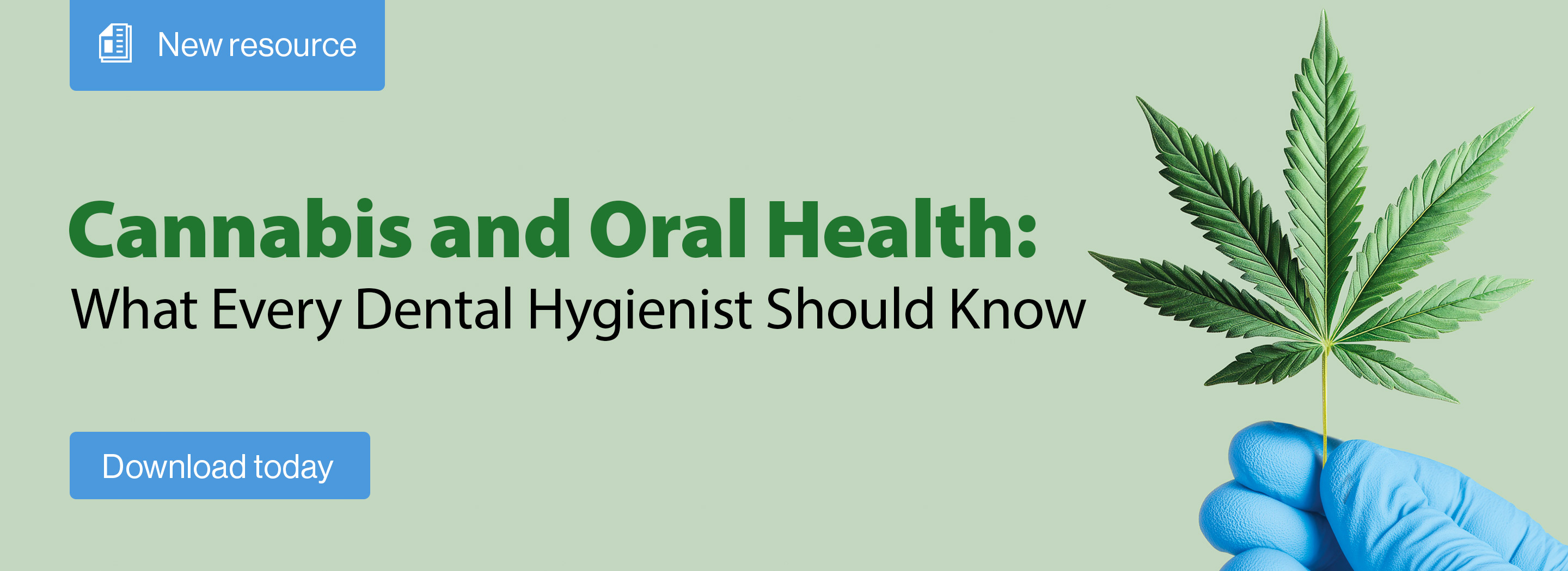The Canadian Dental Hygienists Association (CDHA)